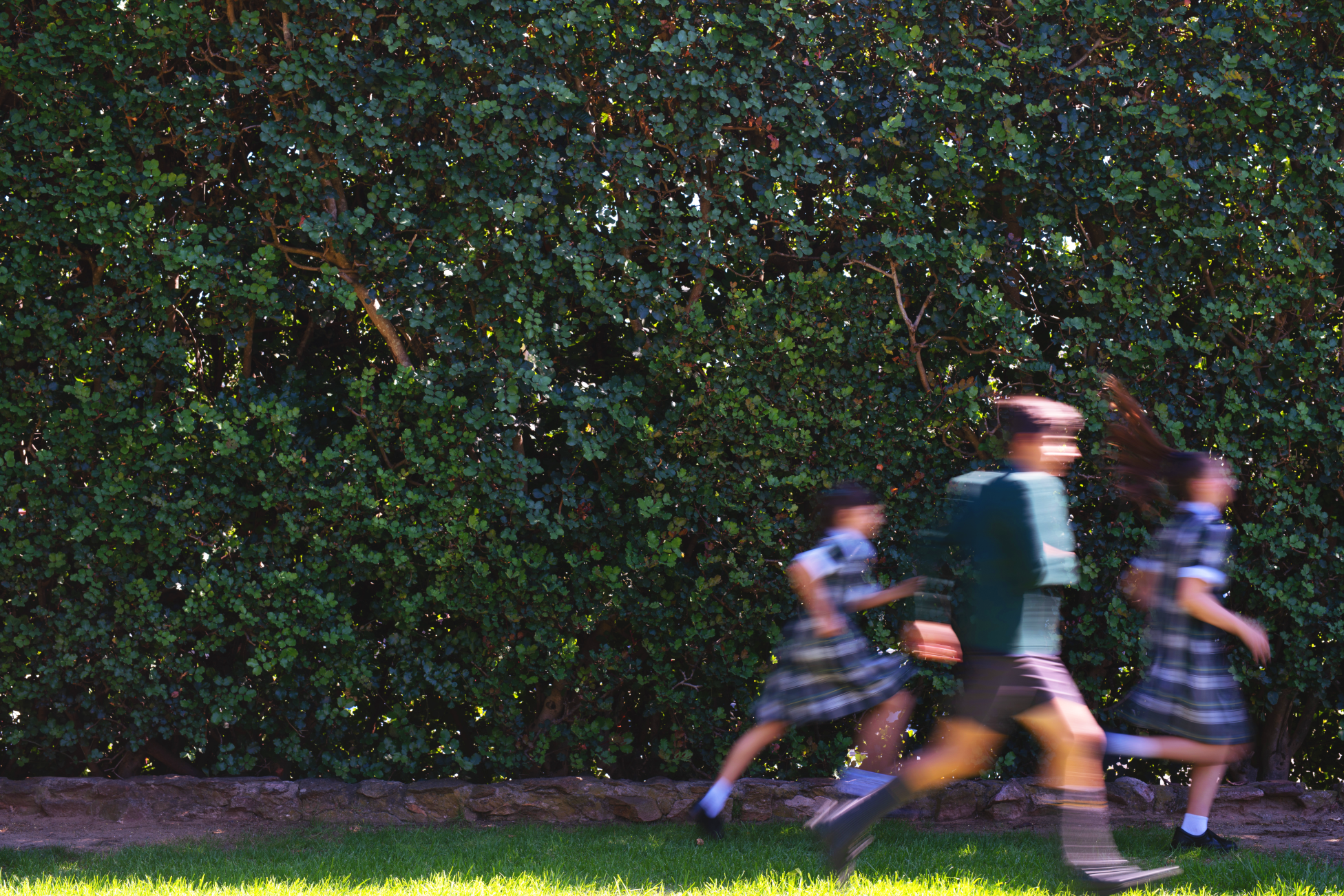 Past issues from The Hedge - Mercedes College