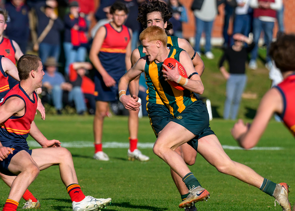 Week 6, Term 3 | Thursday 28 August 2025 - The Hedge - Mercedes